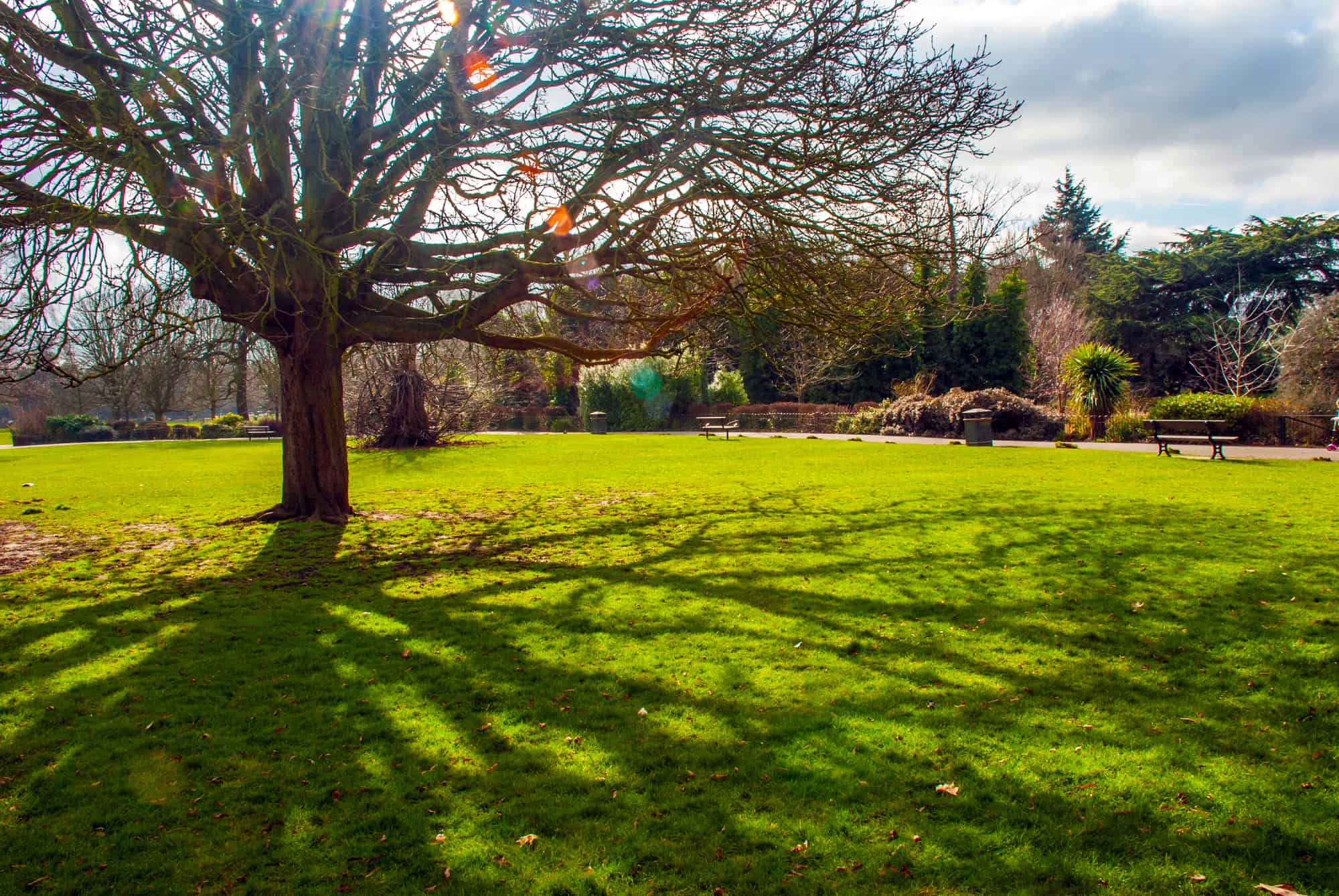 Top Best Parks and Green Spaces in Fulham to Explore